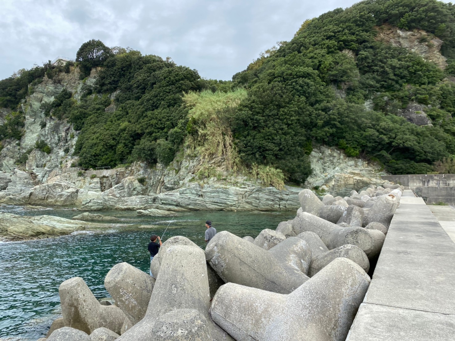 【和歌山市】『雑賀崎漁港：さいがさきぎょこう』のおすすめ海釣りガイド（釣れる魚・駐車場・トイレ）｜和歌山釣りwalker